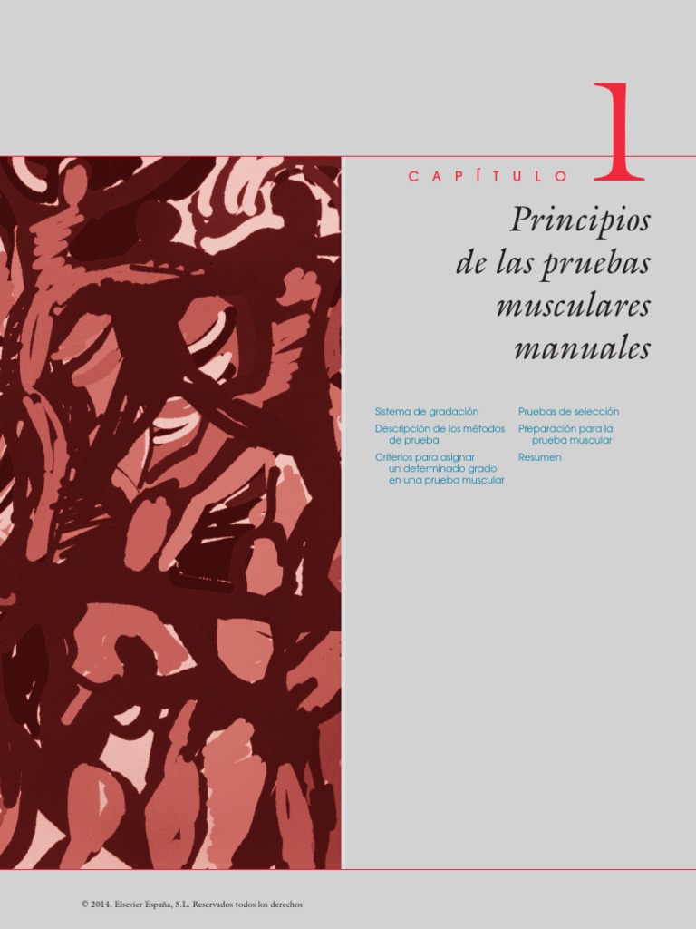 Pruebas Funcionales Musculares 1 | PDF | Músculo esquelético | Codo