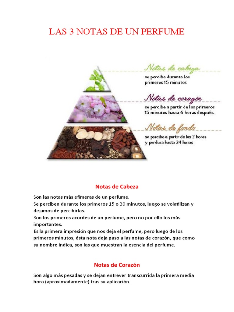 Las 3 Notas de Un Perfume | PDF