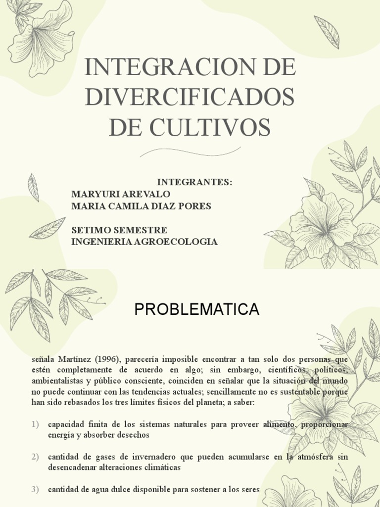 Divercificacion de Cultivos | PDF | Agricultura | Agricultura ecológica