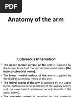 Anatomi Fossa Axillaris | PDF | Arm | Limbs (Anatomy)