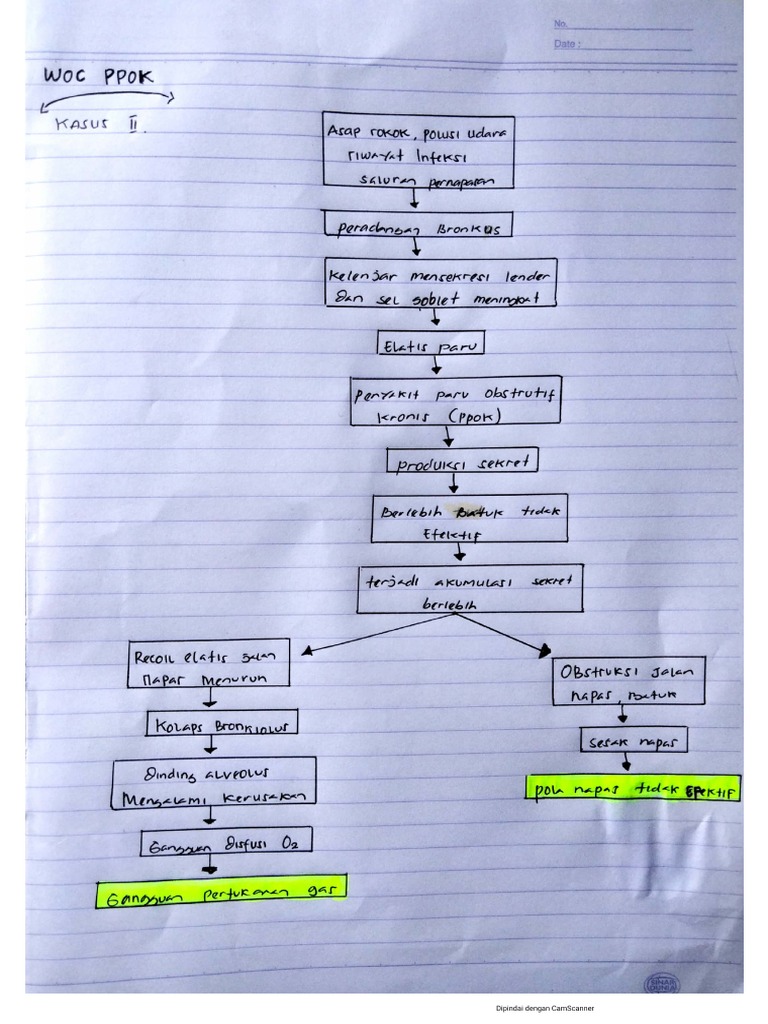 WOC PPOK (Kasus 2) | PDF