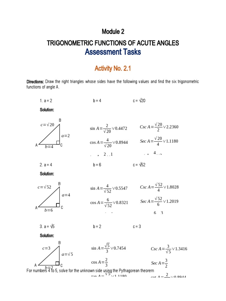 Trigonometric Functions of Acute Angles Assessment | PDF ...