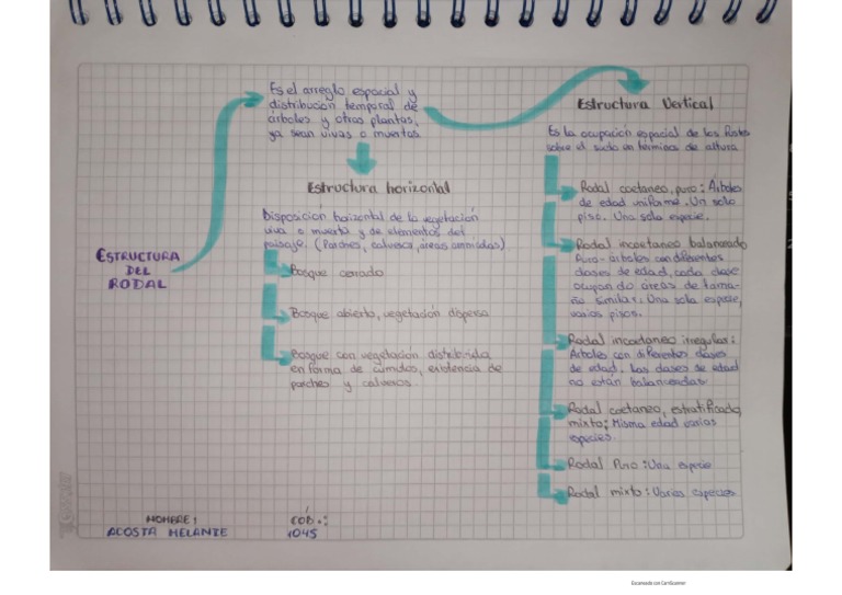 Estructura Del Rodal - 1045 | PDF