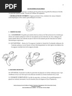 Anatomie de L'aine 2016, EPH Djilali Rahmouni (Les Orangers) | PDF ...