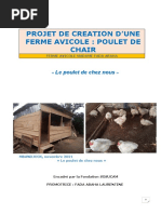 Projet de Poulets Chairs Pape Alioune Badara Thiam | PDF