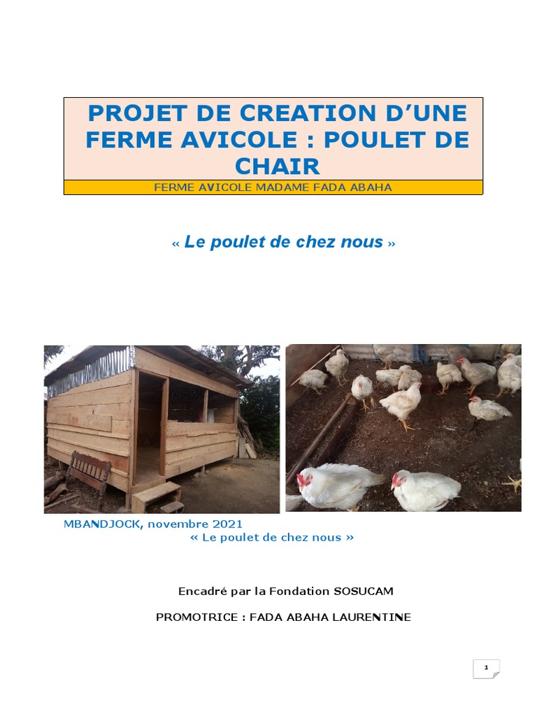 Projet de Ferme Avicole à Mbandjock | PDF | Aviculture