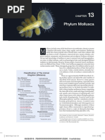 Herbarium Format Project | PDF | Botany | Plants
