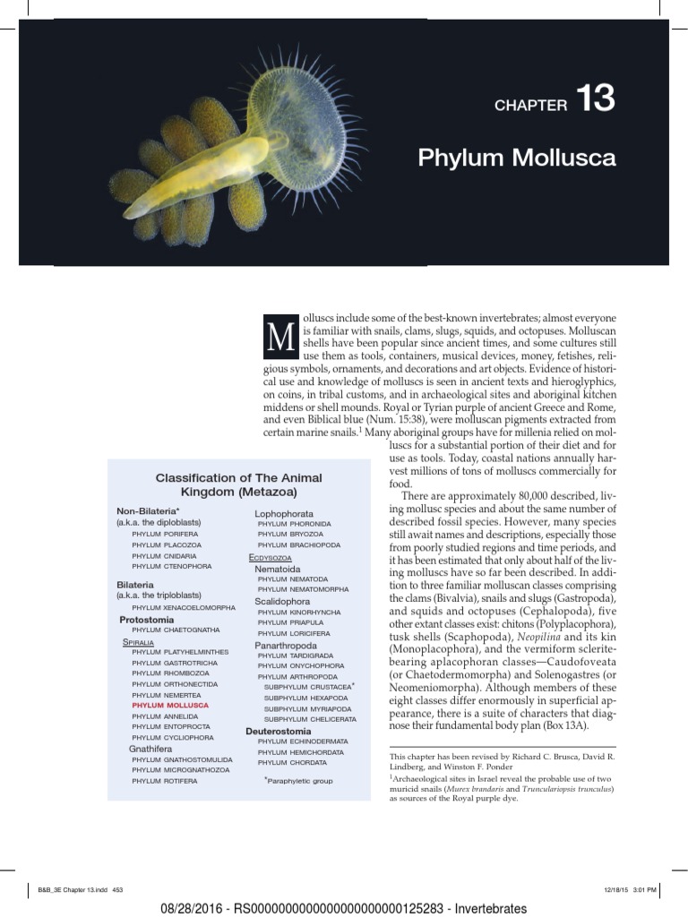 Mollusca: Classification and History | PDF | Mollusca | Bivalvia