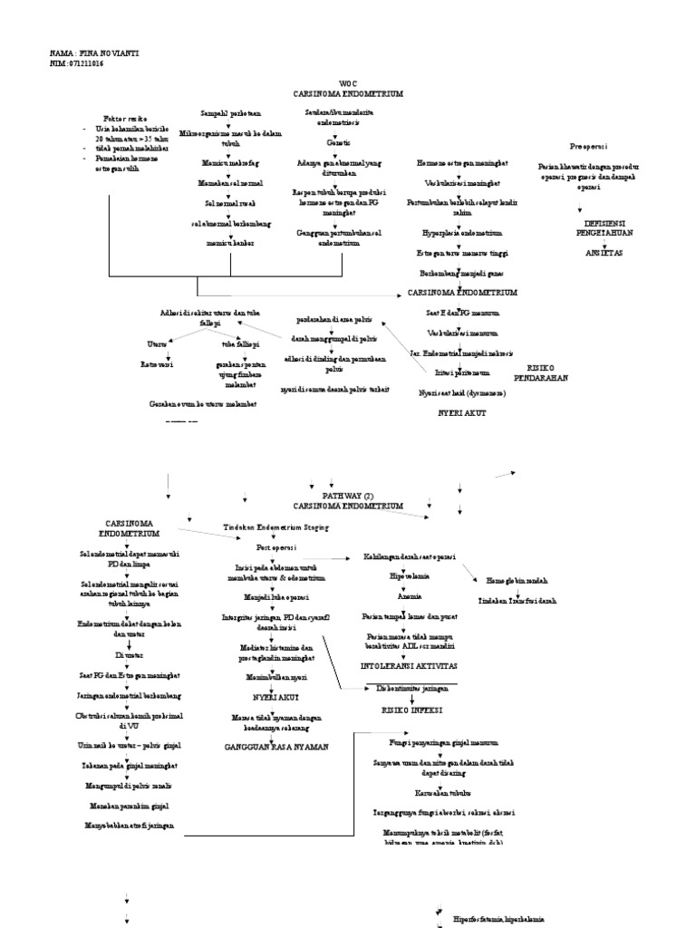 WOC CA Endometrium | PDF