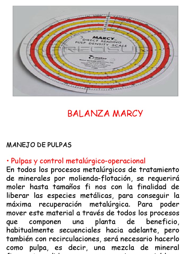 Calibración de Balanza Marcy | PDF | Metalurgia | Agua