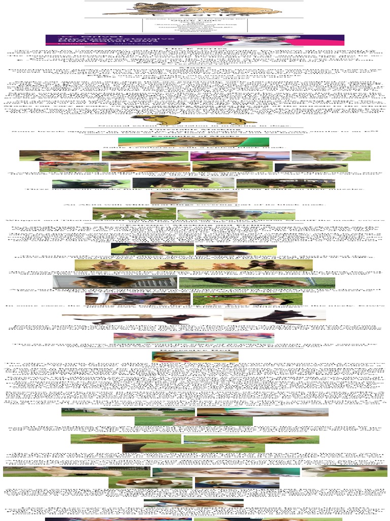 Dog Coat Colour Genetics | PDF | Dominance (Genetics) | Allele