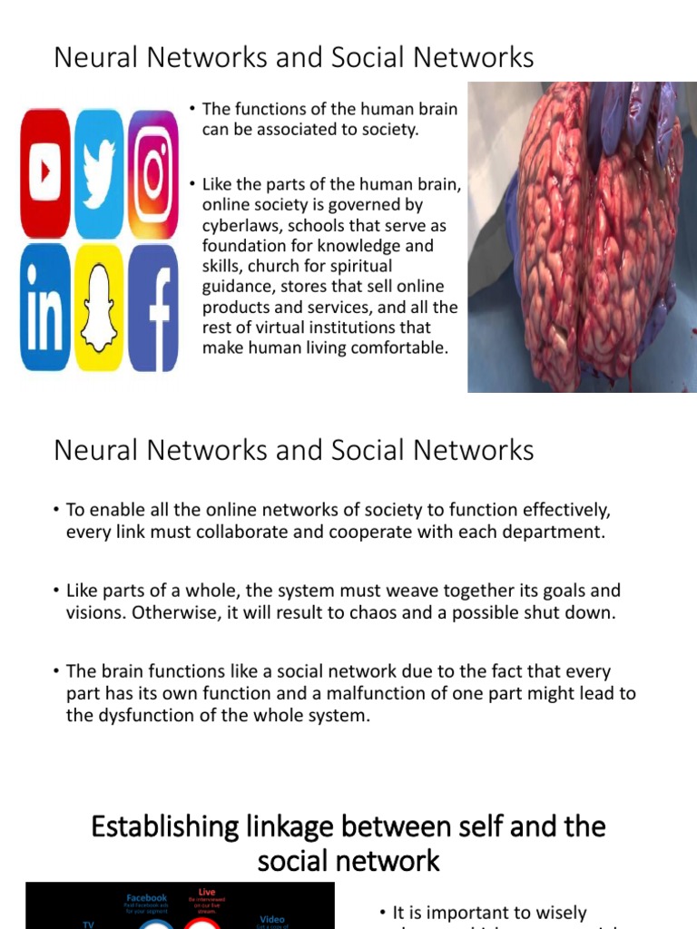The Self and Social Network | PDF