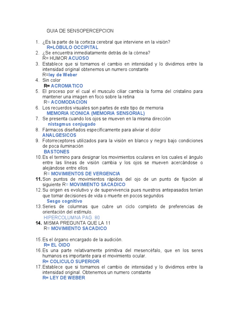 Guia Sensopercepcion Completa | PDF | Ojo | Percepción visual