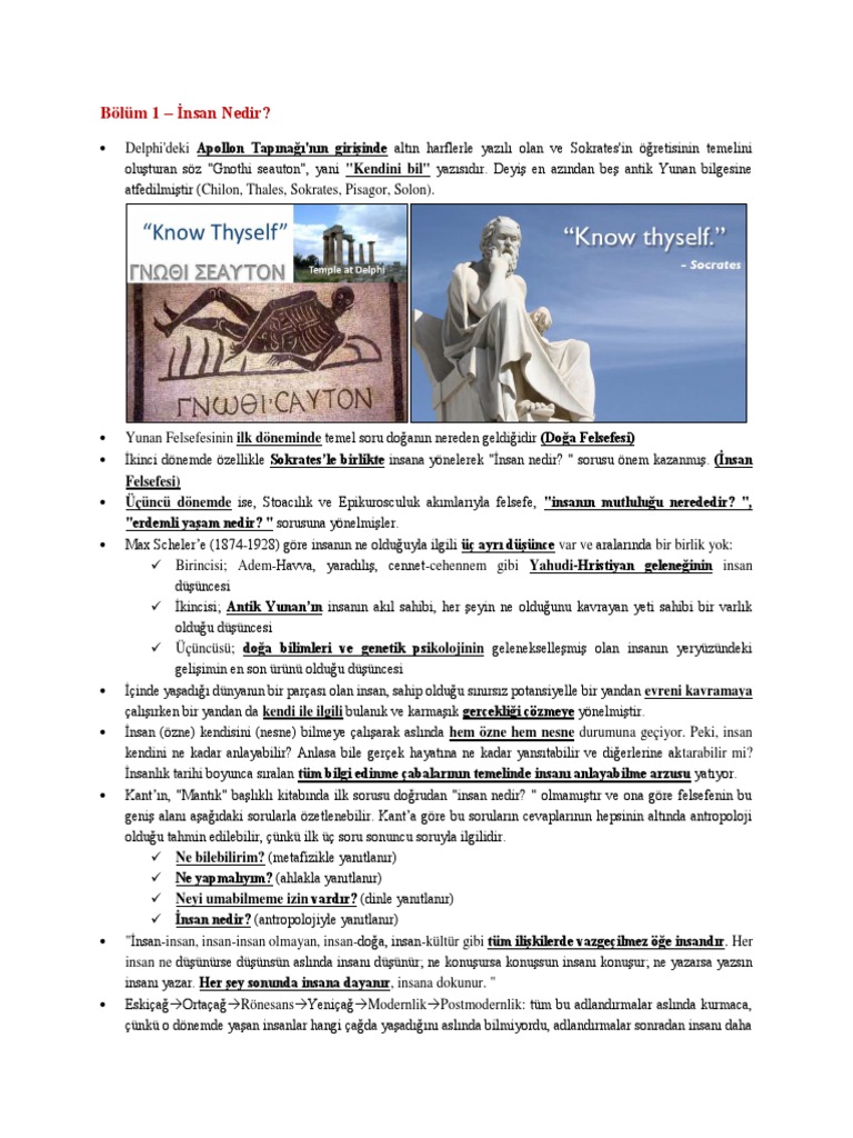 Humanities Notes - Midterm | PDF