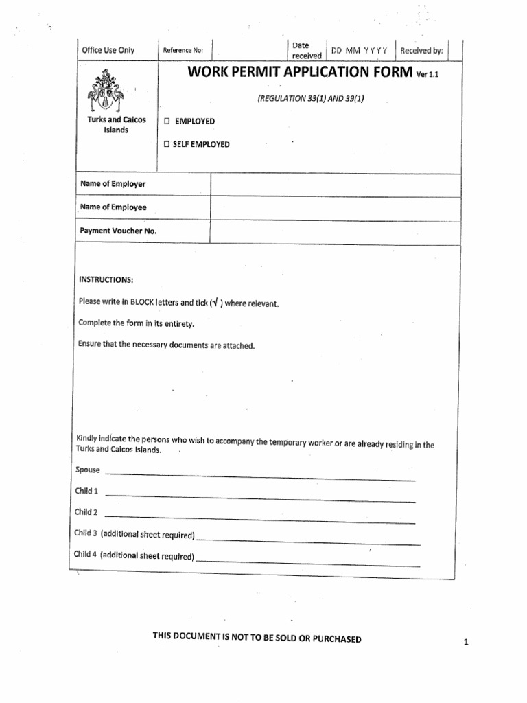 Work Permit Application Form - Blank | PDF