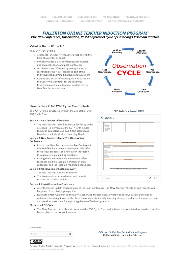 Pop Cycle | PDF | Teachers | Mentorship
