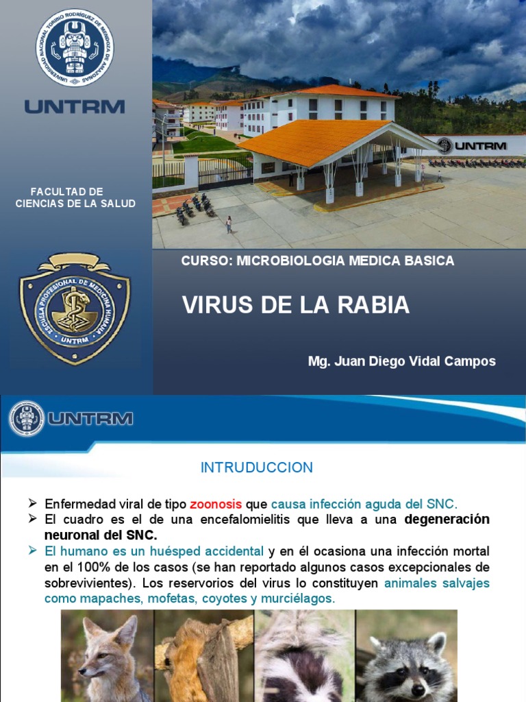 Virus de La Rabia | PDF | Rabia | Virus