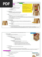 Inserto Esfinto Plus | PDF | Medicina CLINICA | Especialidades Medicas