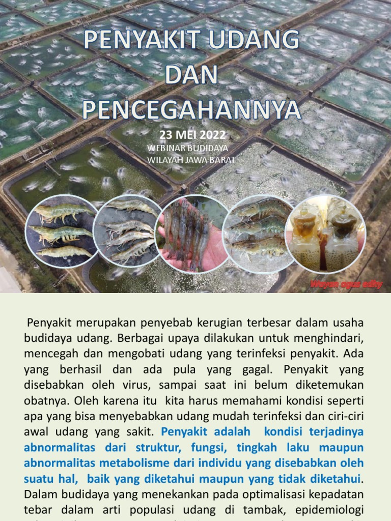 PENYAKIT UDANG IMNV, WFD - Ok | PDF