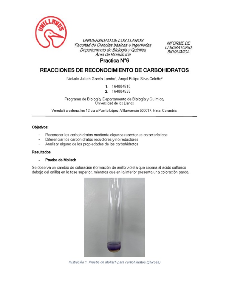 INFORME 6 Reacciones de Reconocimiento de Carbohidratos | PDF | Sacarosa | Química