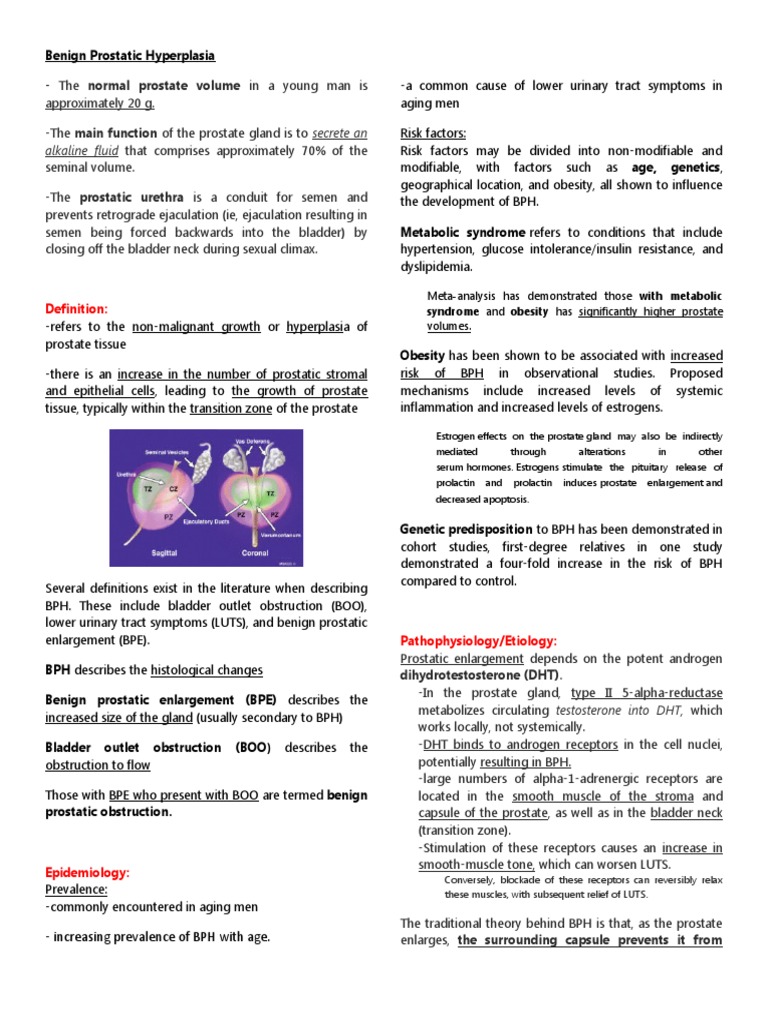 Benign Prostatic Hyperplasia | PDF | Prostate | Urinary Bladder