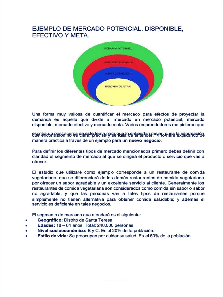 Ejemplo De Mercado Potencial Disponible Efectivo Y Meta Pdf