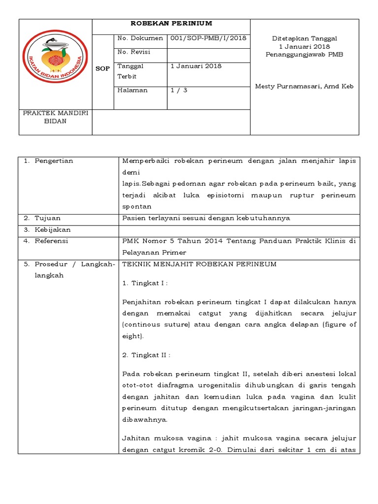 Sop Robekan Perinieum | PDF