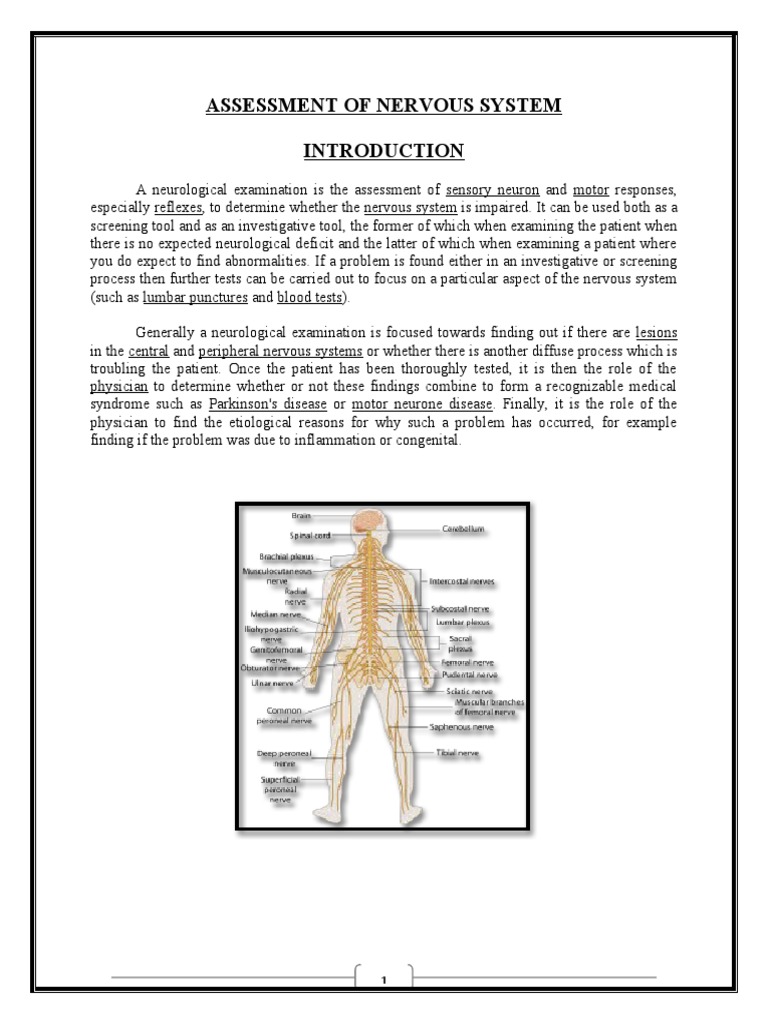 Comprehensive Assessment of the Nervous System: Evaluating Neurological ...