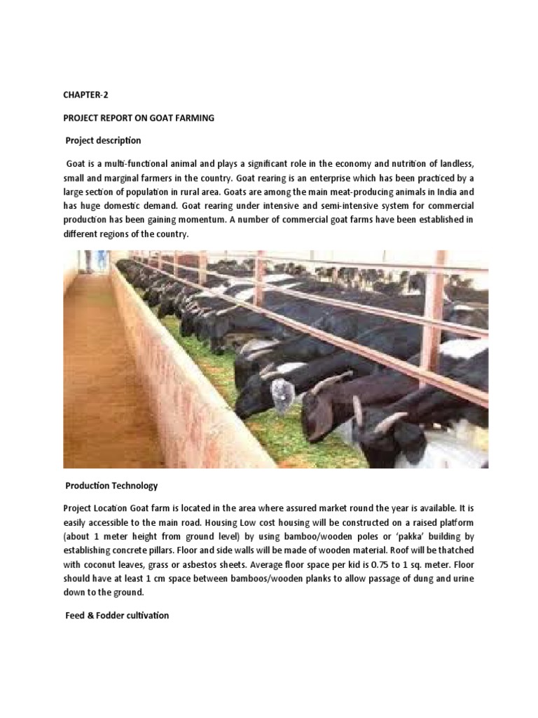 Goat Farming Project Report Overview | PDF | Goat | Agriculture