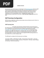 Dunning Process Configuration in SAP | PDF