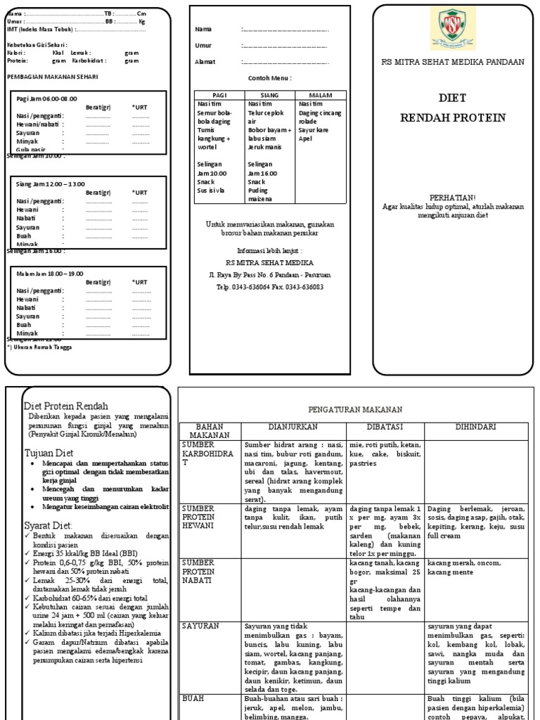 Protein Rendah Leaflet | PDF
