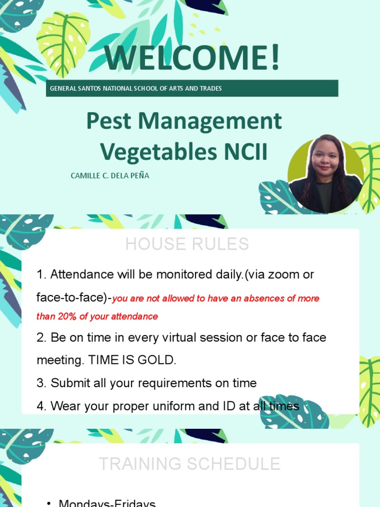 Demonstration In Facilitate Learning Session Pdf Learning