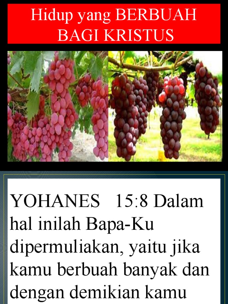 Berbuah Banyak Dan Menjadi Murid Kristus (Pdt. Jhohny Hutagalung) | PDF | Agama & Spiritualitas