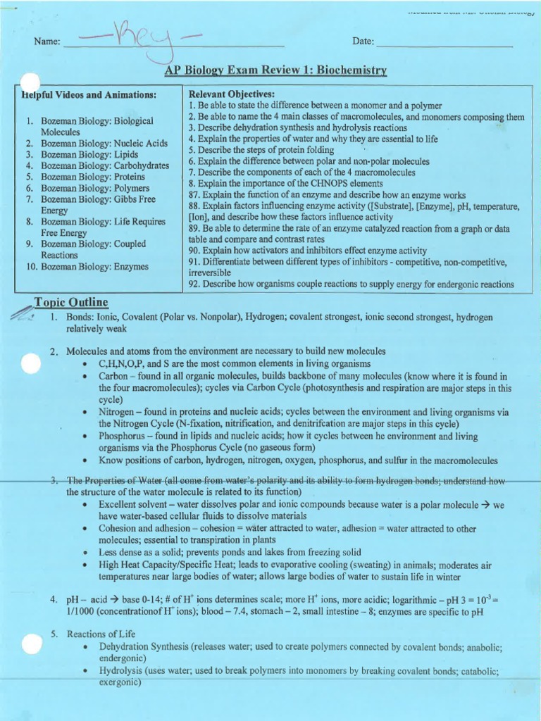 End of Year AP Bio Review KEY | PDF