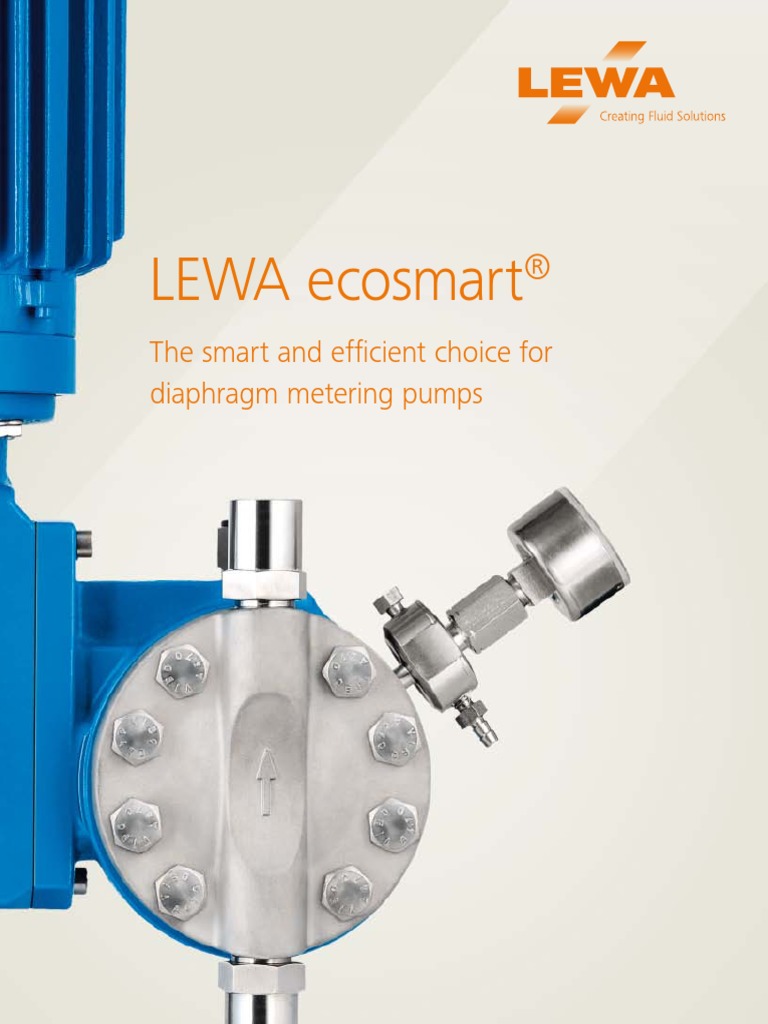 D1-170 LEWA Ecosmart en Us | PDF | Pump | Valve