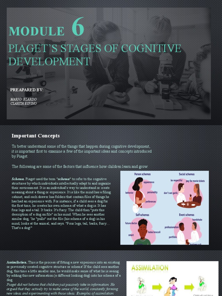 MODULE 6. Piaget's Stages of Cognitive Development | PDF | Schema ...