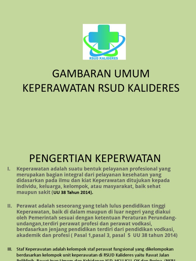 Gambaran Umum Keperawatan Rsud Kalideres | PDF