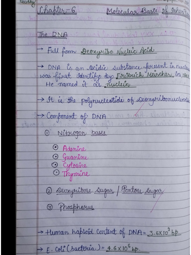 Biology Chapter 6 | PDF