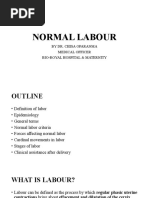 7 Cardinal Movements of Labor Explained | PDF