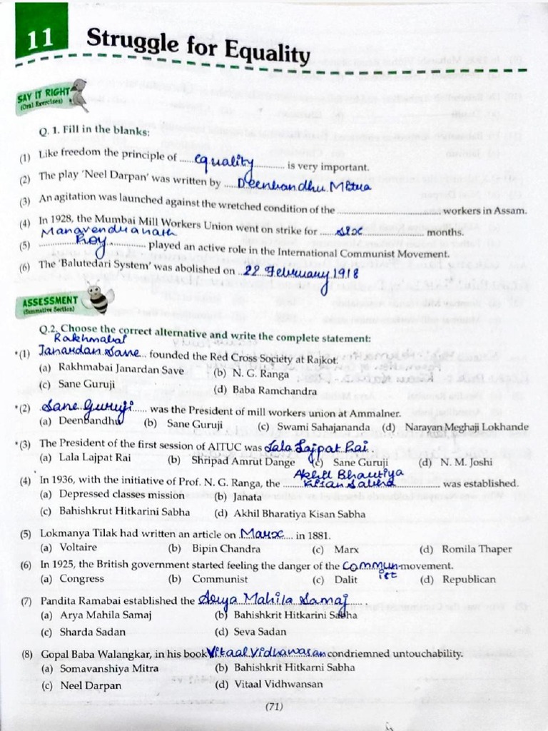 Struggle For Equality | PDF