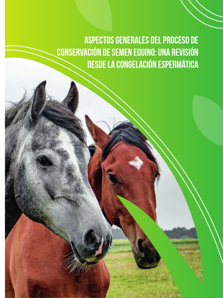 Admin, ASPECTOS GENERALES DEL PROCESOS DE CONSERVACION DE SEMEN EQUINO UNA REVISION DESDE LA ...