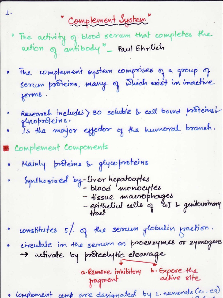 Complement System Pdf Complement System Immune System