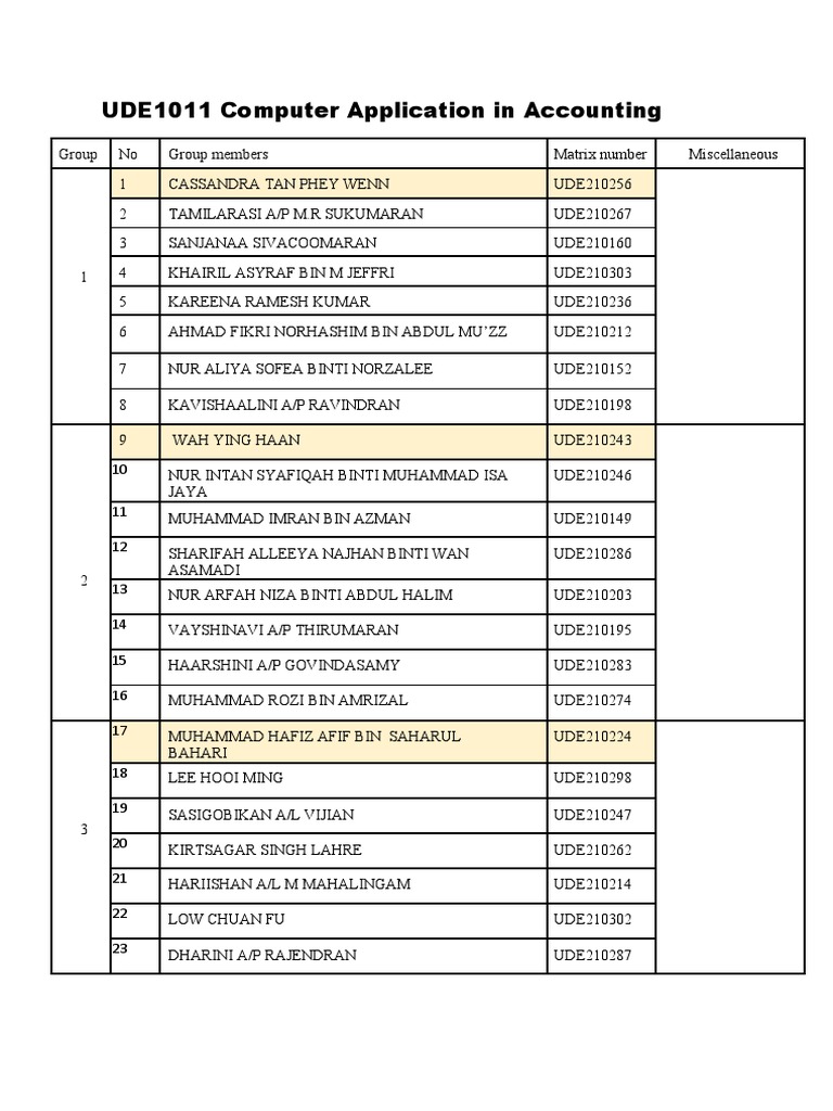 UDE1011 Computer Application in Accounting | PDF