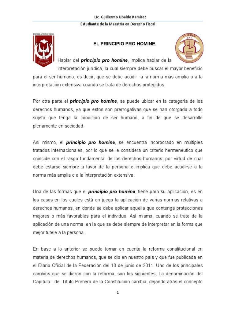 Principio Pro Persona o Pro Homine | PDF | Derechos humanos | Convenio ...