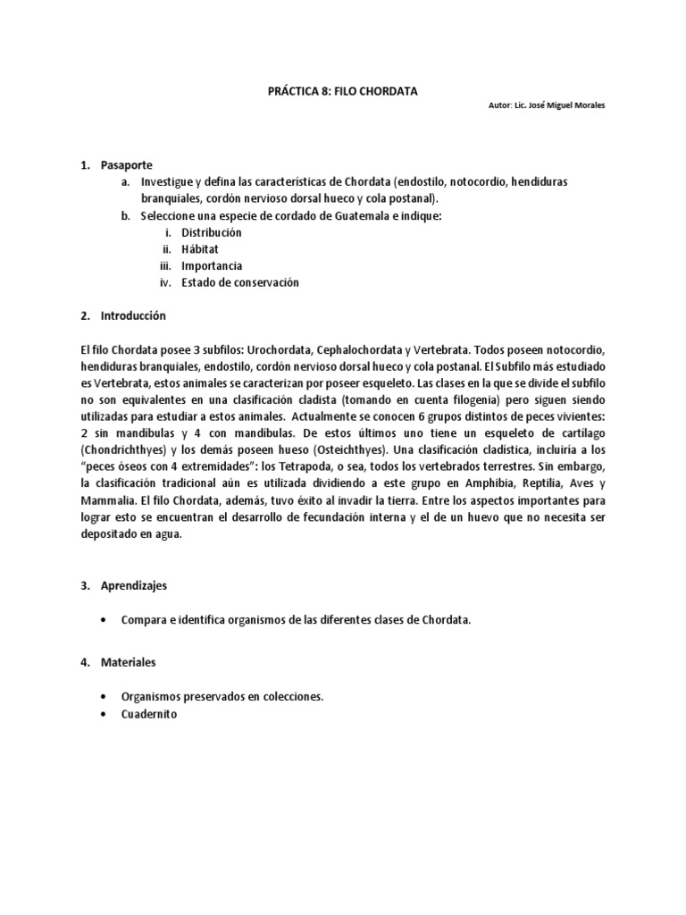Características del Filo Chordata | PDF | Vertebrados | Cordados