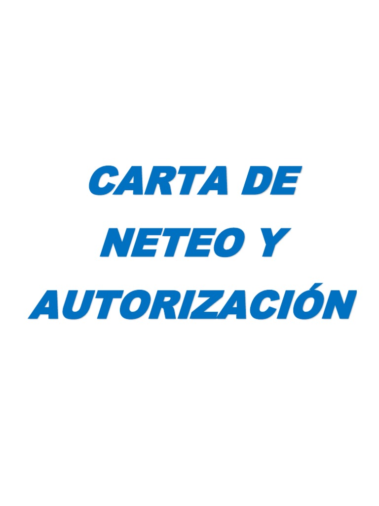 Carta de Neteo y Autorizacion | PDF