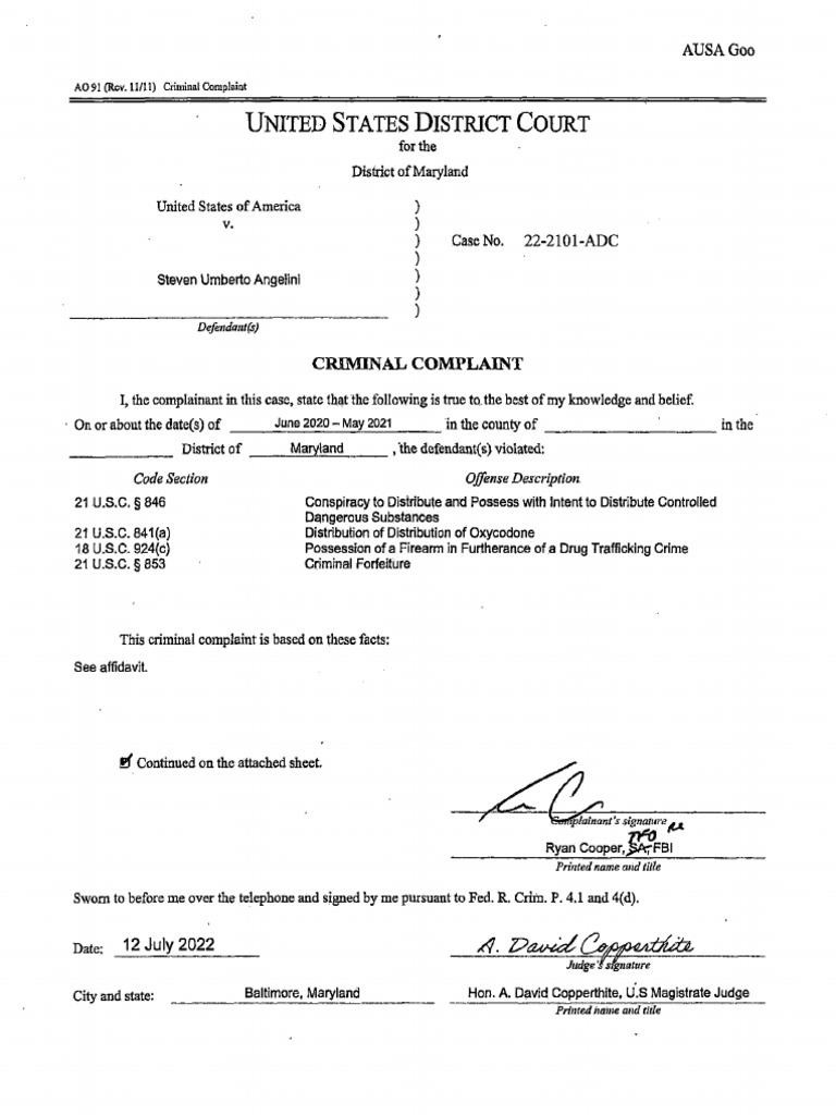 Angelini Steven Criminal Complaint | PDF