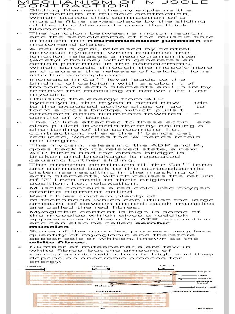 CBSE NCERT Notes Class 11 Biology Locomotion and | PDF | Muscle ... CBSE NCERT Notes Class 11 Biology Locomotion and | PDF | Muscle ...