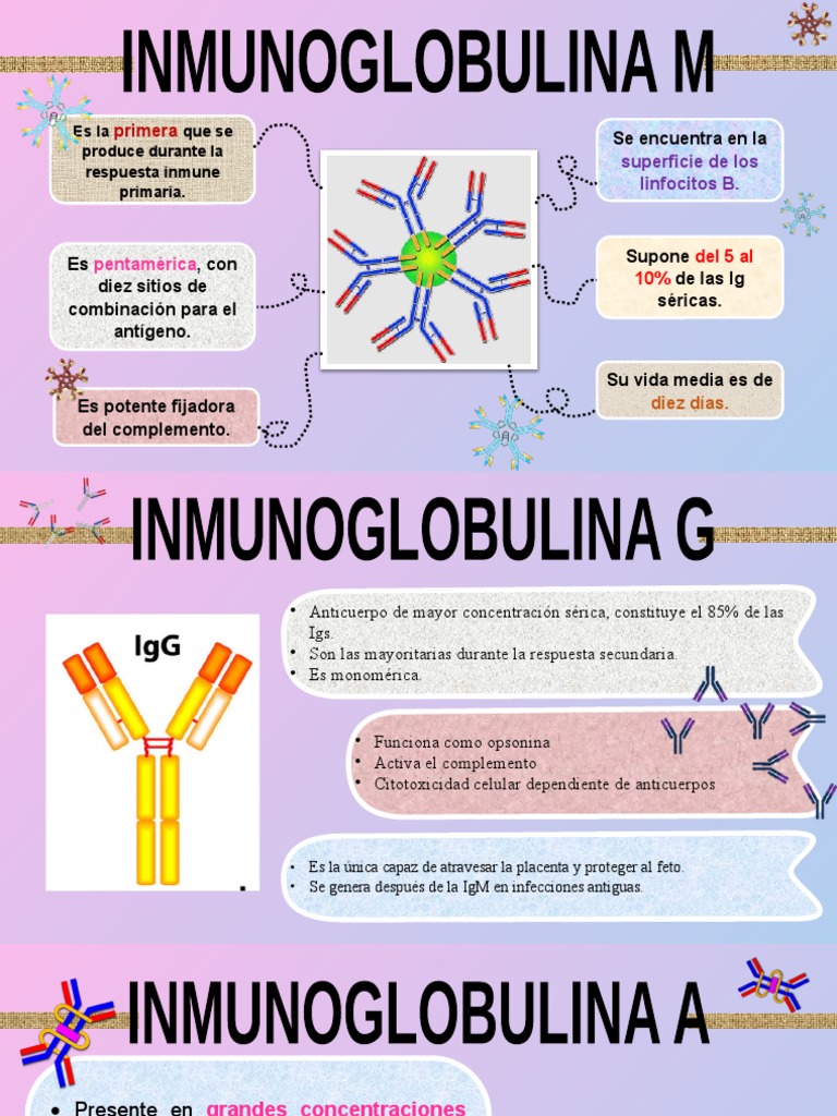 Sistema Inmune | PDF | Complejo mayor de histocompatibilidad | Célula T
