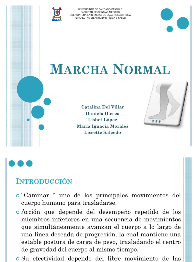 Marcha Normal | PDF | Pie | Rodilla